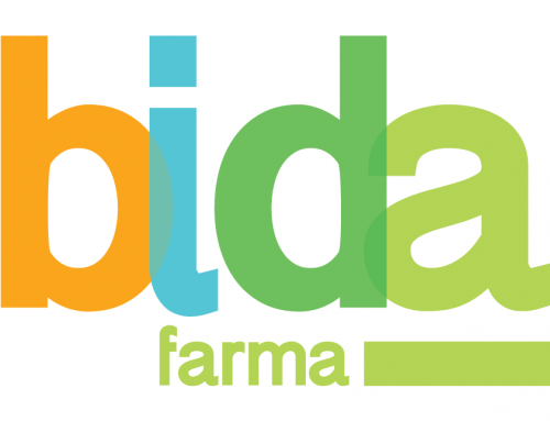 Aplicación De Gestión Para Bonser - LinkedBytes